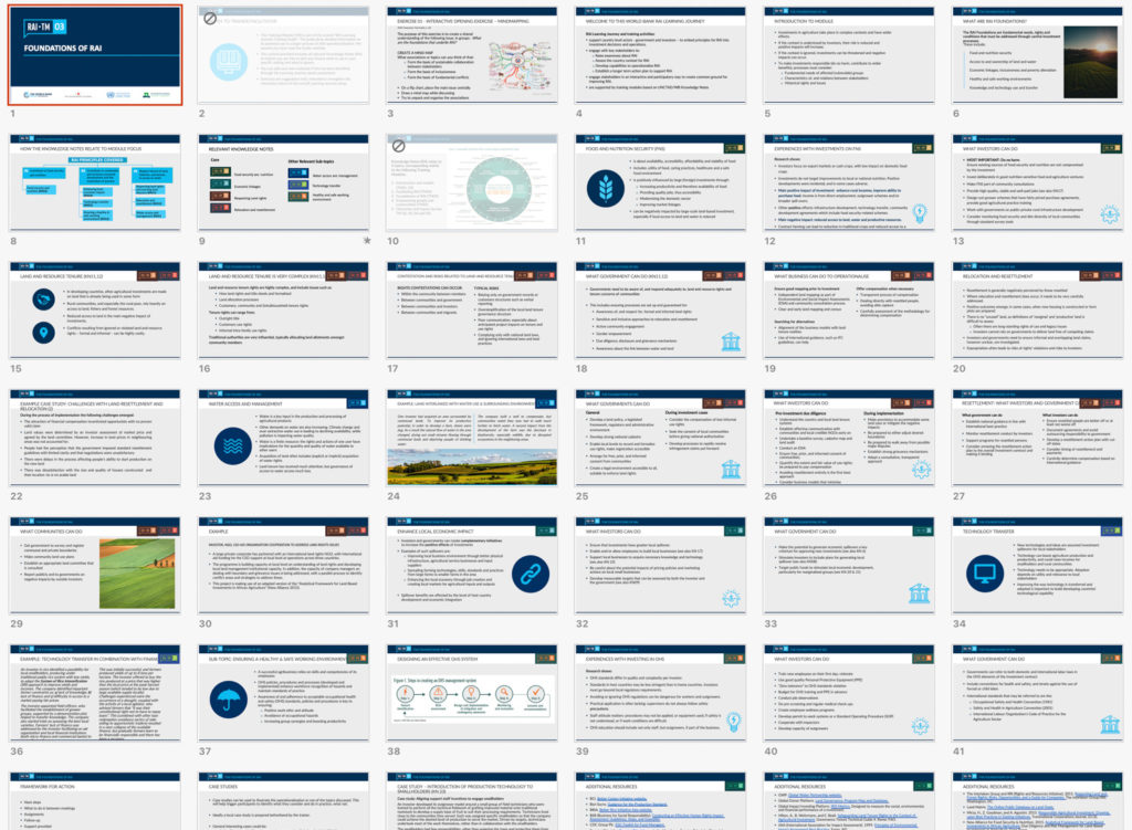 RAI Training Guide – RCO